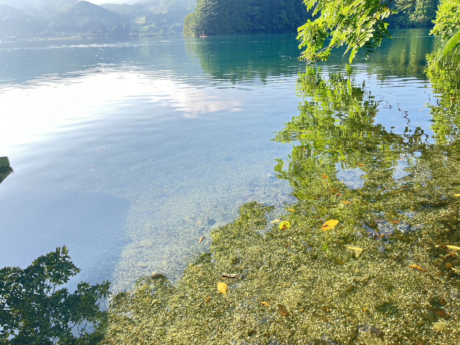 青木湖の美しい湖畔でキャンプを楽しむ─ 大向キャンプ場の魅力 | Sonar Blog