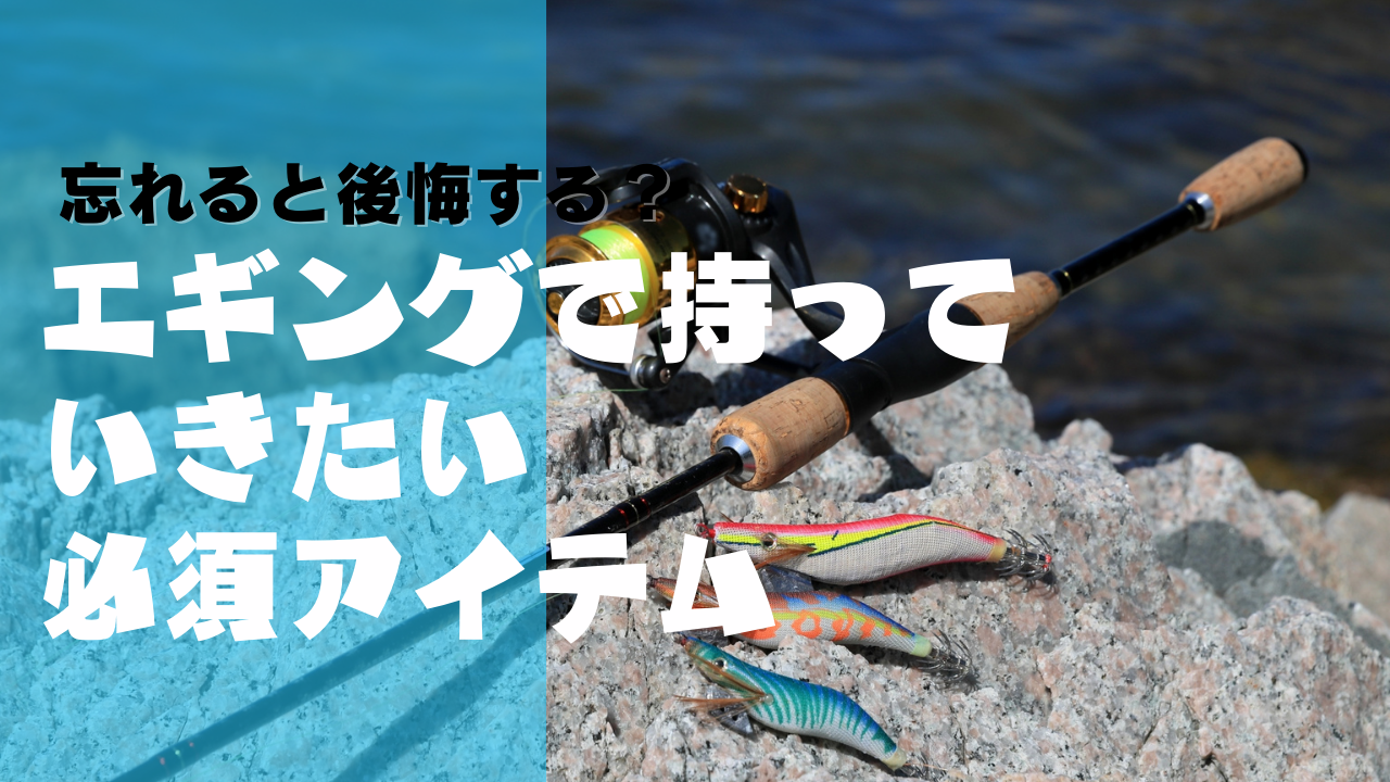 忘れると後悔する？エギングで持っておきたい必須アイテム | Sonar Blog